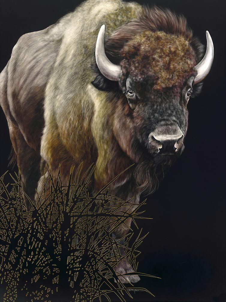 American Buffalo Sally Maxwell Master Scratchboard Artist